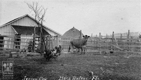 The American Spirit in Florida: A Review of Patrick D. Smith’s “A Land ...